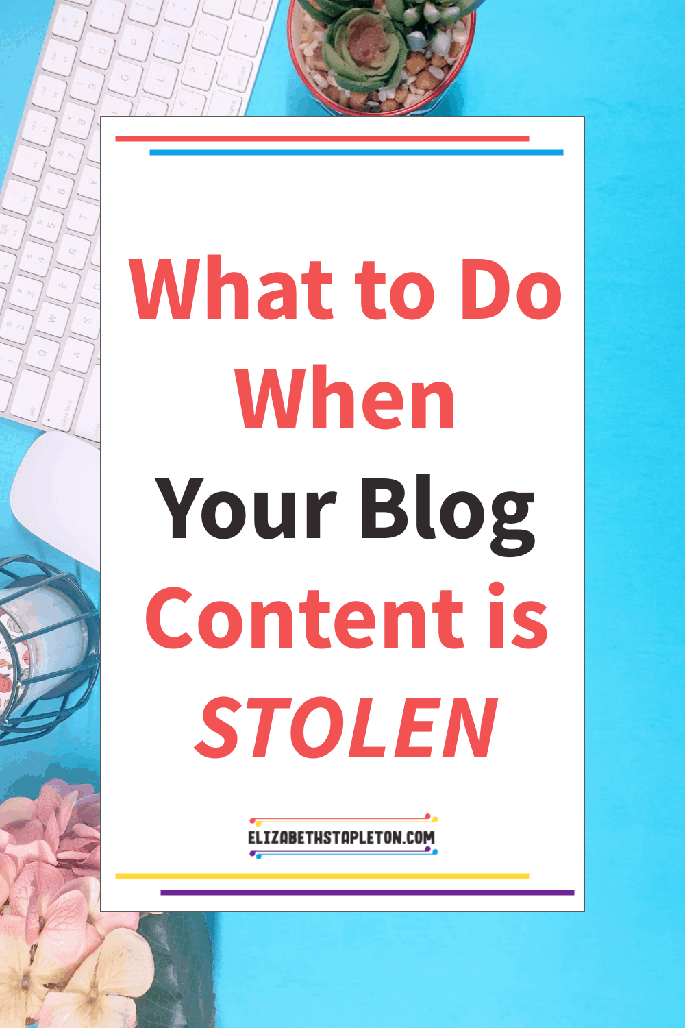 Blog - ELIZABETHSTAPLETON.COM